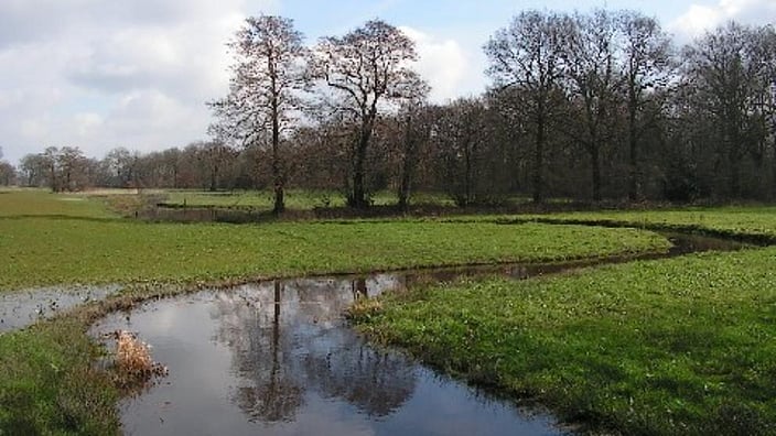Met Natuurmonumenten in gesprek over klimaatbuffers - WELEDA