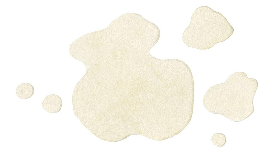 Polyglyceryl-3 Polyricinoleate - WELEDA